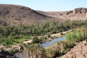 Ouarzazate - Weltbekannte Hollywood-Kulisse in Marokkos Wüste